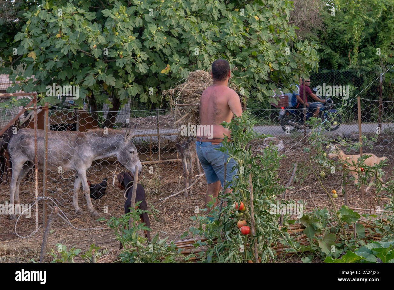 Views from around the zero waste farm in Dalyan, Turkey Stock Photo - Alamy