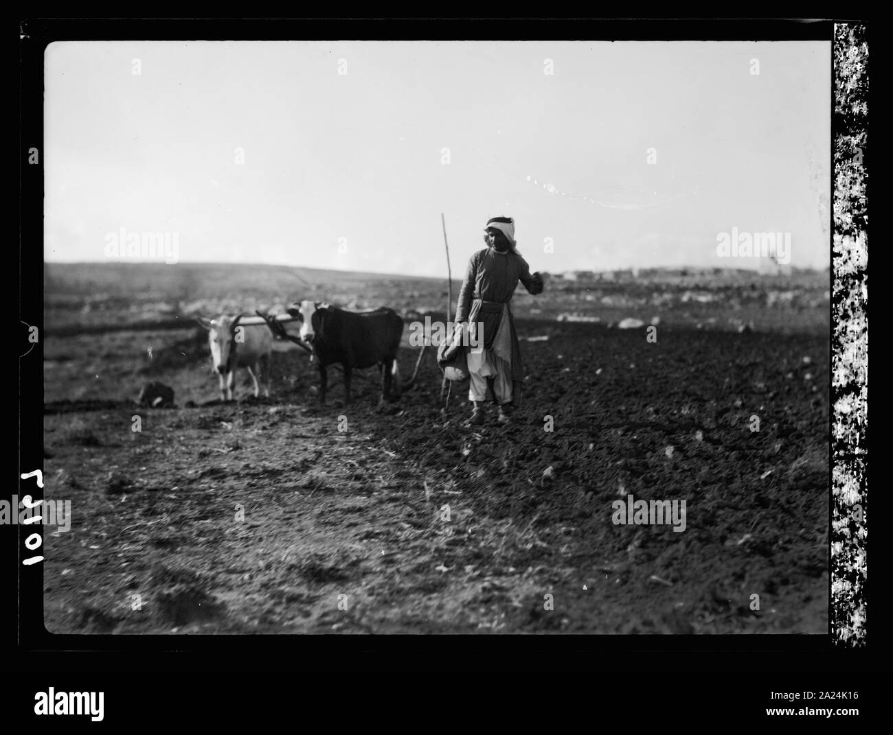 Peasant sowing grain Stock Photo - Alamy