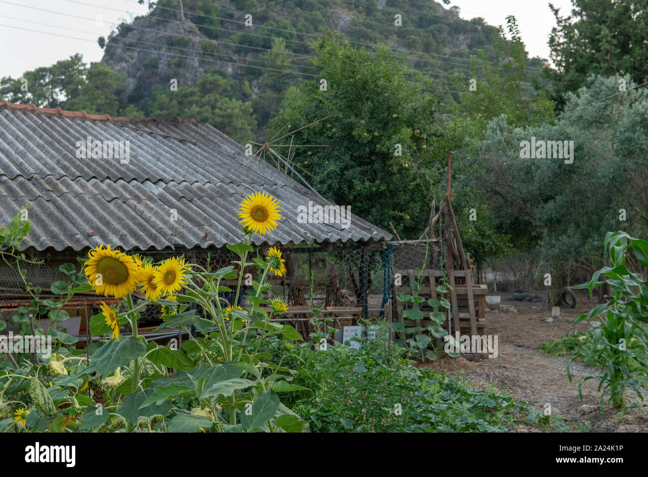 Views from around the zero waste farm in Dalyan, Turkey Stock Photo - Alamy