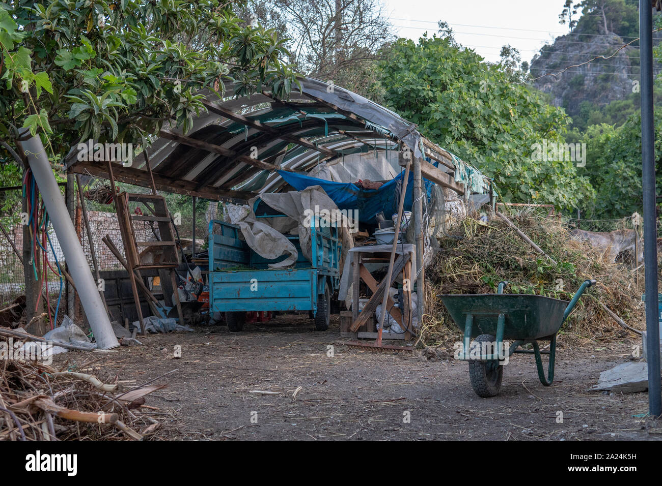 Wheelbarrow filled with hay and shelter on farm Stock Photo - Alamy