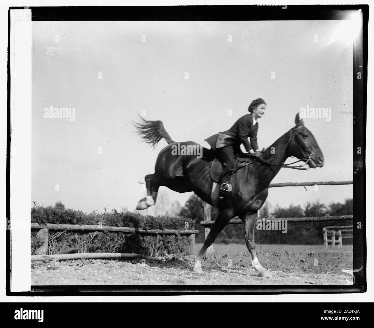 Peggie hi-res stock photography and images - Alamy