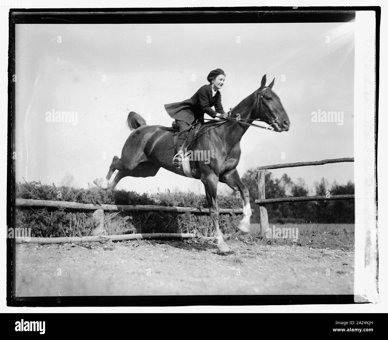 Peggie hi-res stock photography and images - Alamy