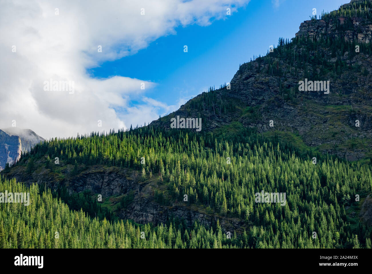 Beautiful lanscape around the Many Glacier area of the famous Glacier ...