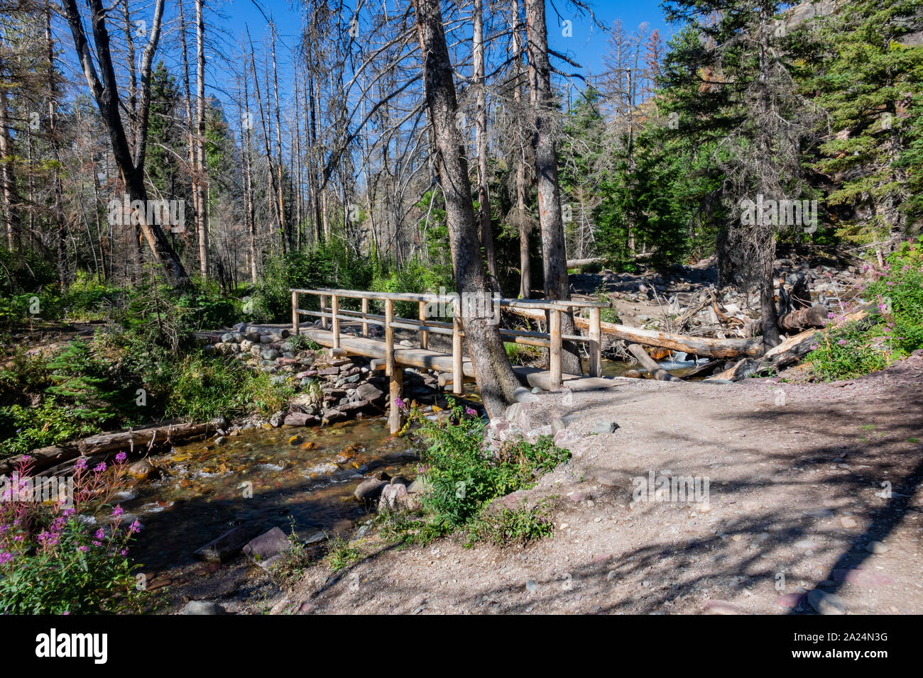 Baring Falls at the Saint Mary Lake, Glacier National Park, Montana ...