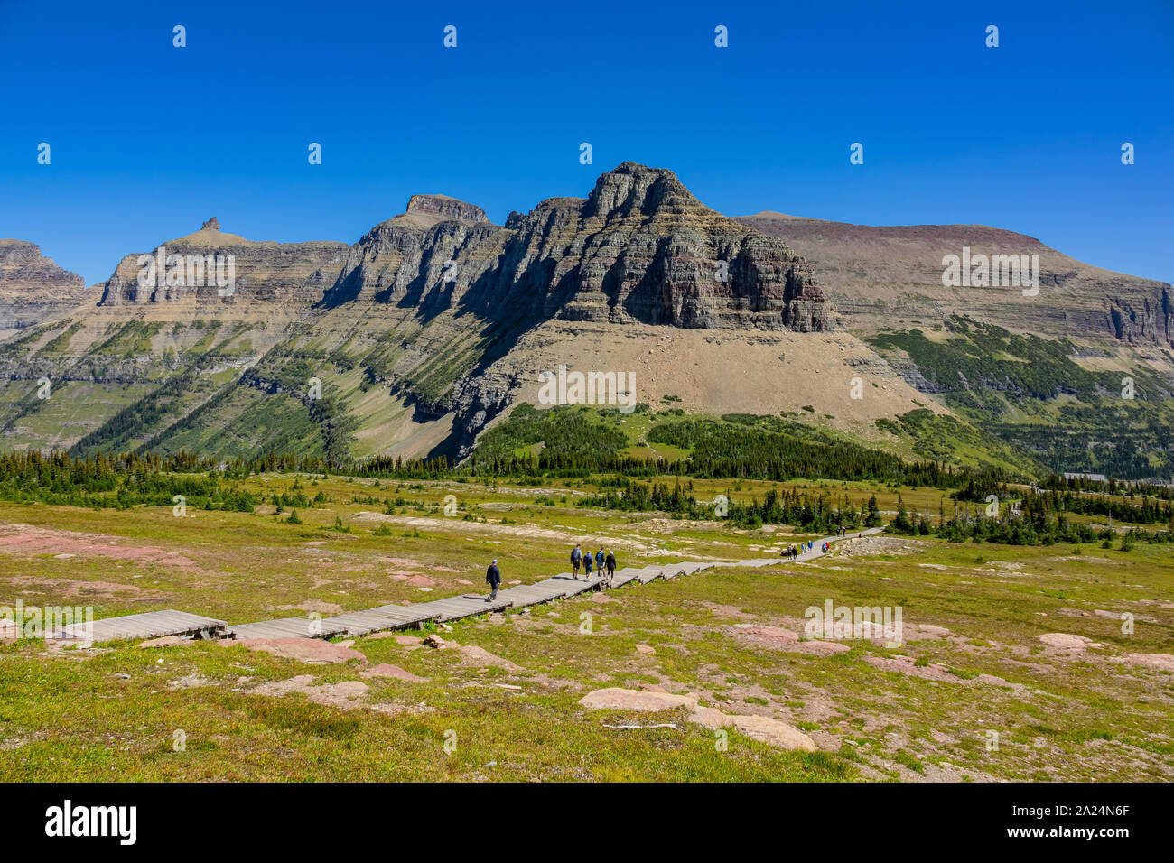 Logan pass trails hi-res stock photography and images - Alamy