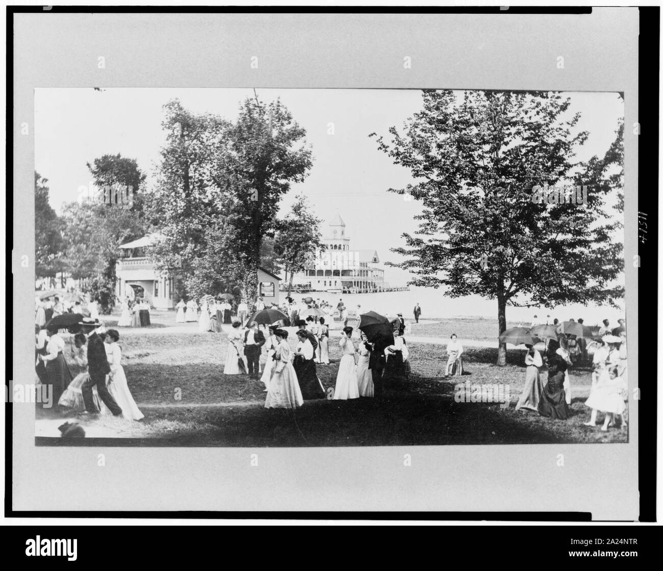 Summer park lake in Cut Out Stock Images & Pictures - Alamy