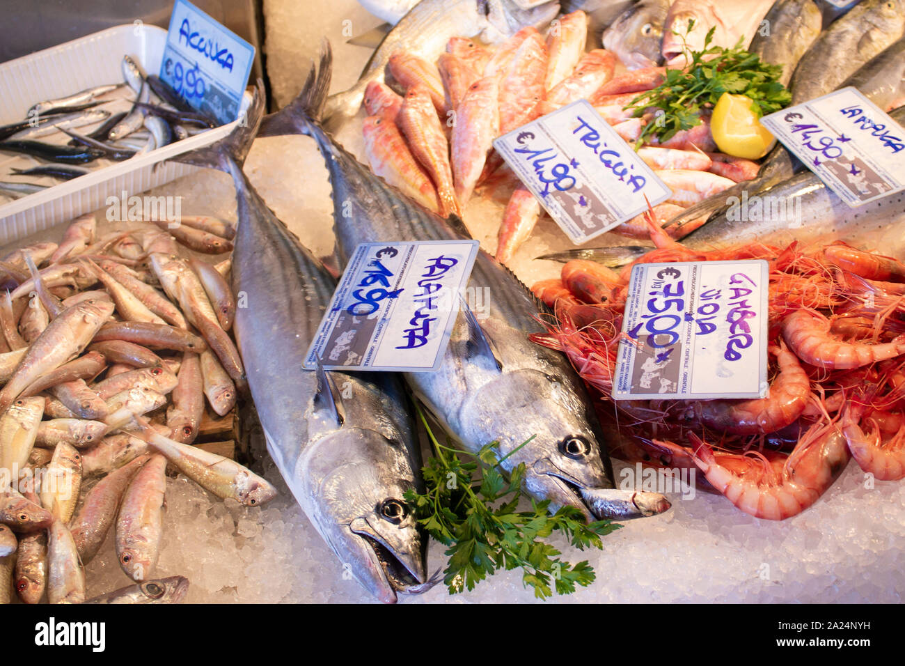 Italian fish market with many different fresh fishes Stock Photo - Alamy