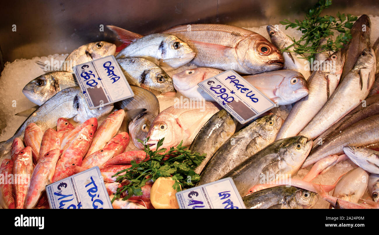 Italian fish market with many different fresh fishes Stock Photo - Alamy