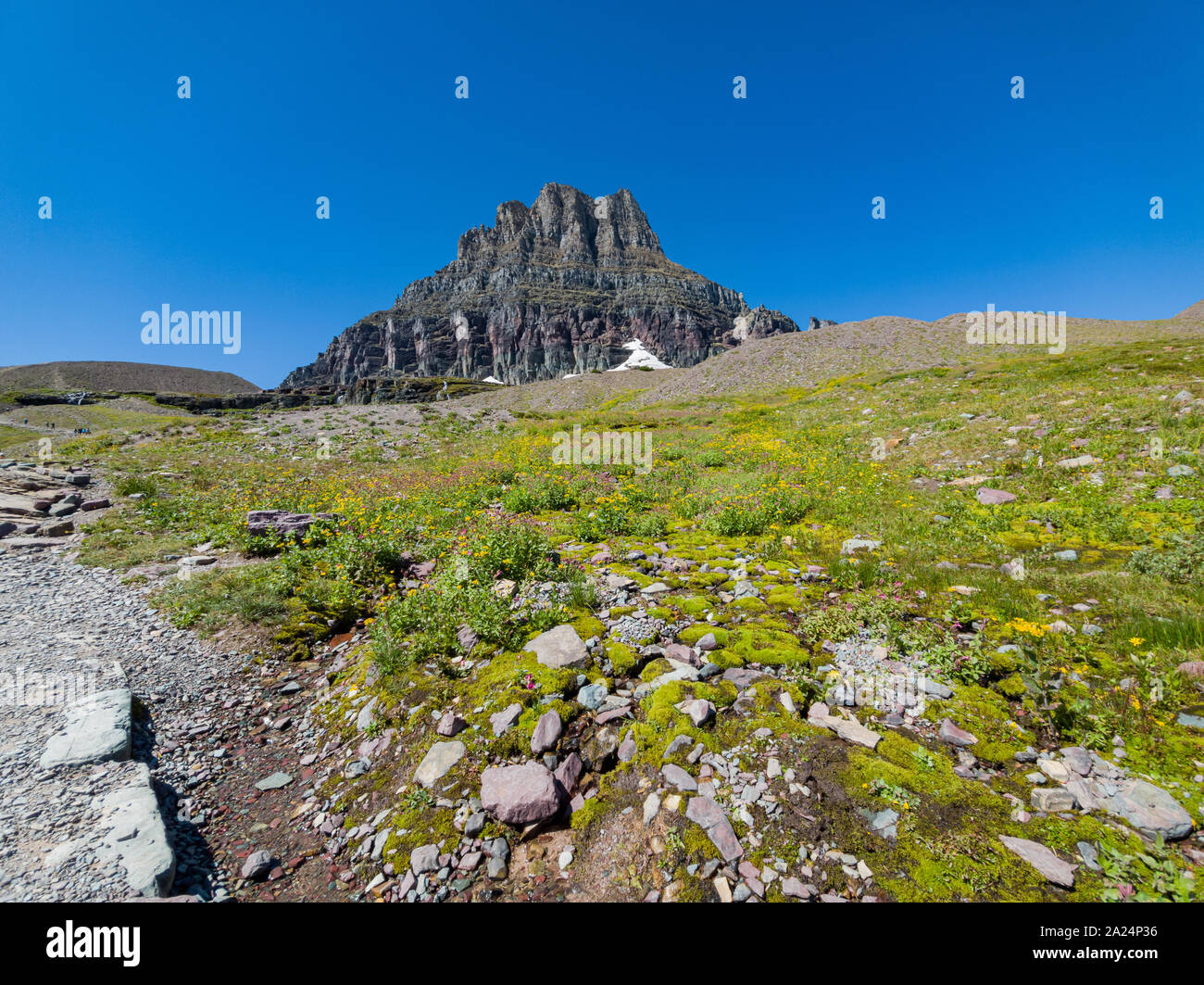Beautiful landscape around Logan Pass at Glacier National Park, Montana ...