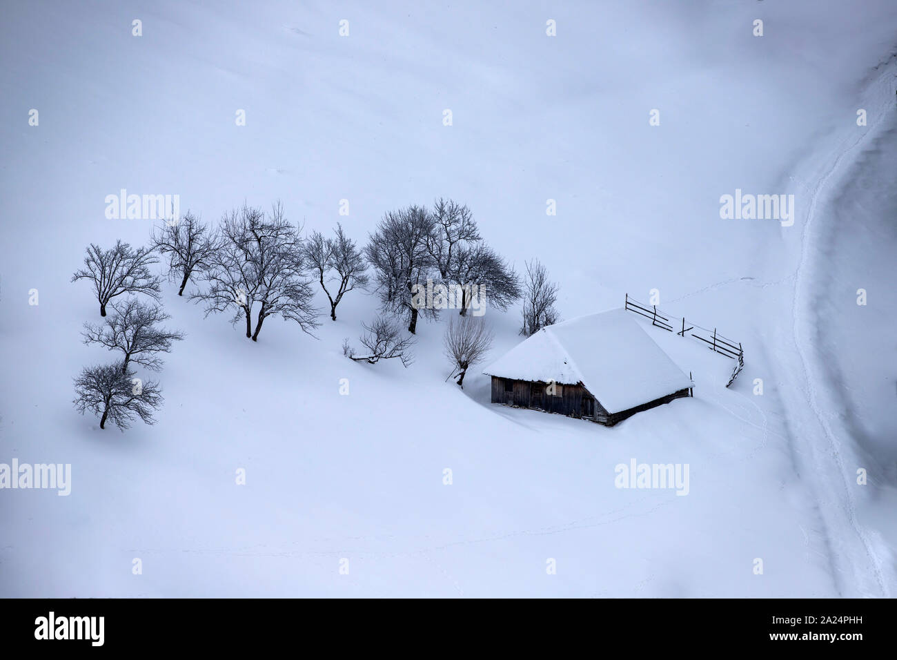 Aerial view of winter landscape with trees and small cottagees Stock ...
