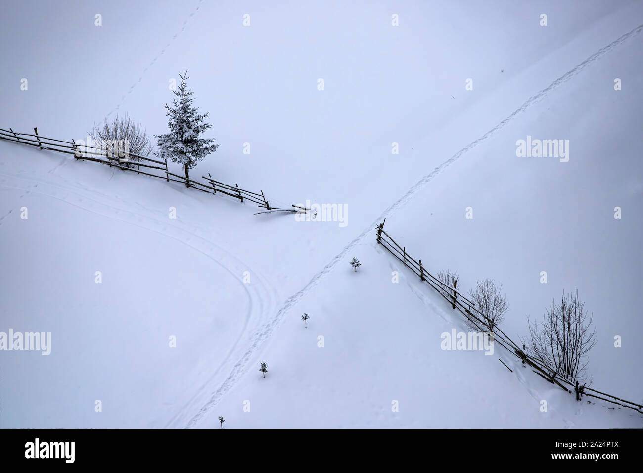 Aerial view of winter landscape with trees Stock Photo - Alamy