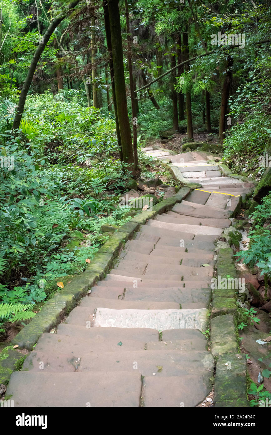 Rock stair steps in the mountain in QingChengShan, Sichuan Province ...