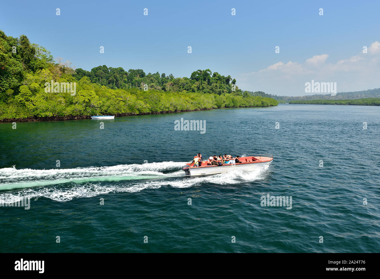 India forest trip hi-res stock photography and images - Alamy
