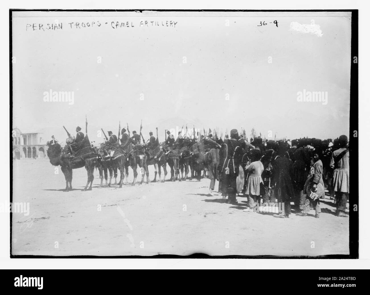 Persian troops - camel artillery Stock Photo - Alamy