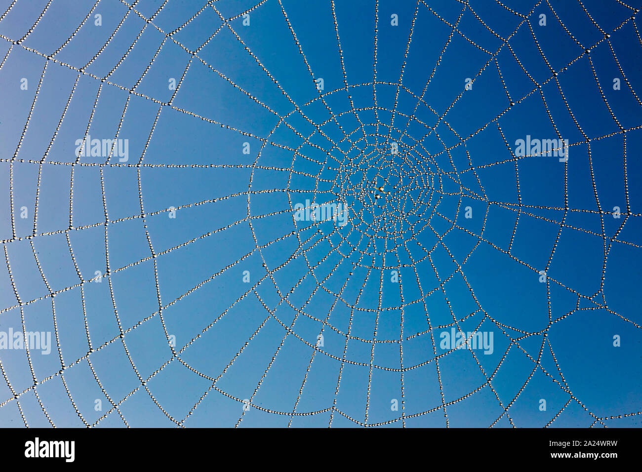 Sky backgorund hi-res stock photography and images - Alamy