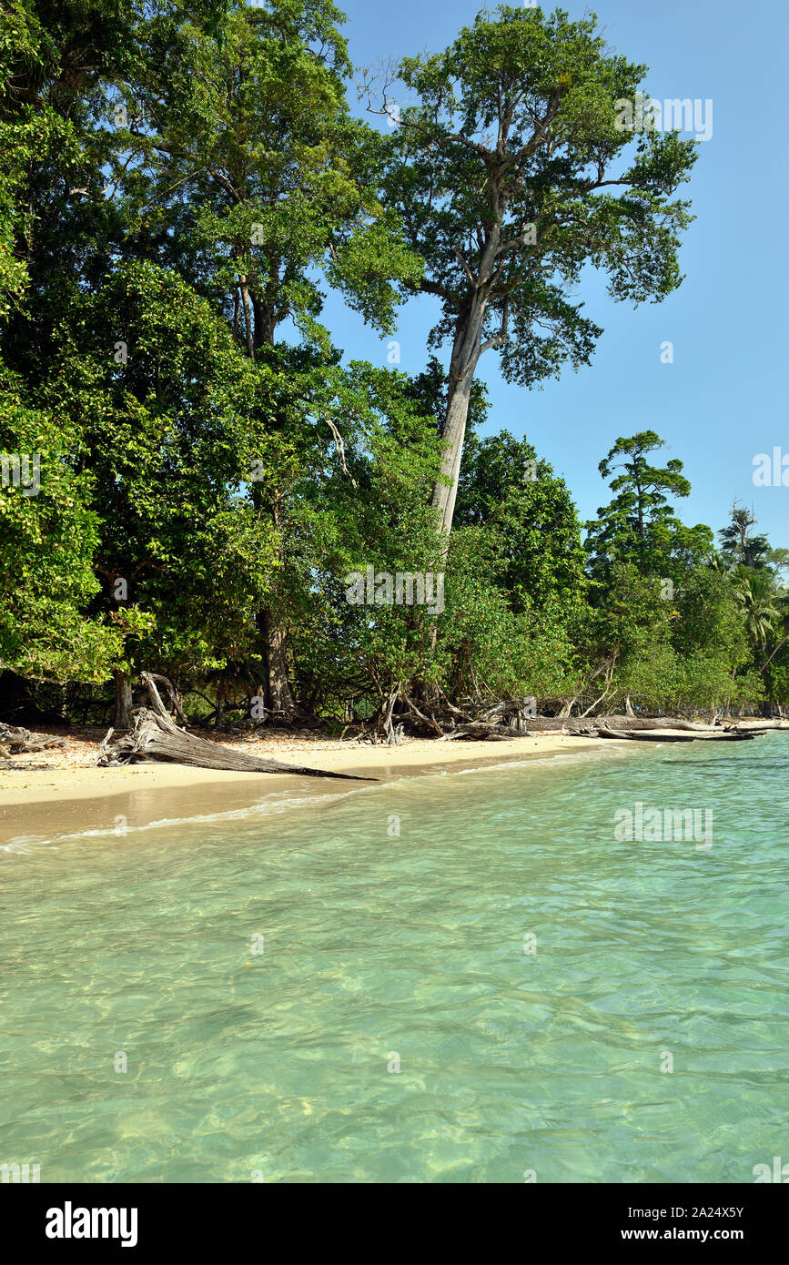 Lalaji beach at Long Island, Andaman and Nicobar Islands, India Stock ...