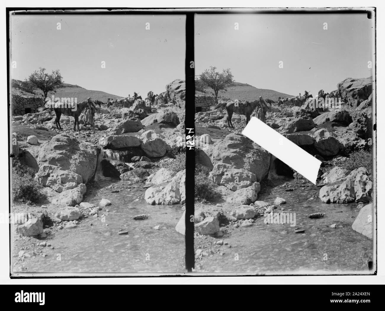 Petra (Wadi Musa). Ain Mus. Spring of Moses, near Eldji on road from Ma ...