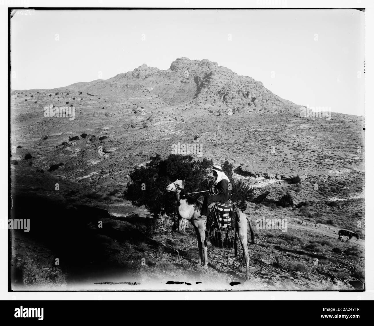 Petra. Mount Hor Stock Photo - Alamy