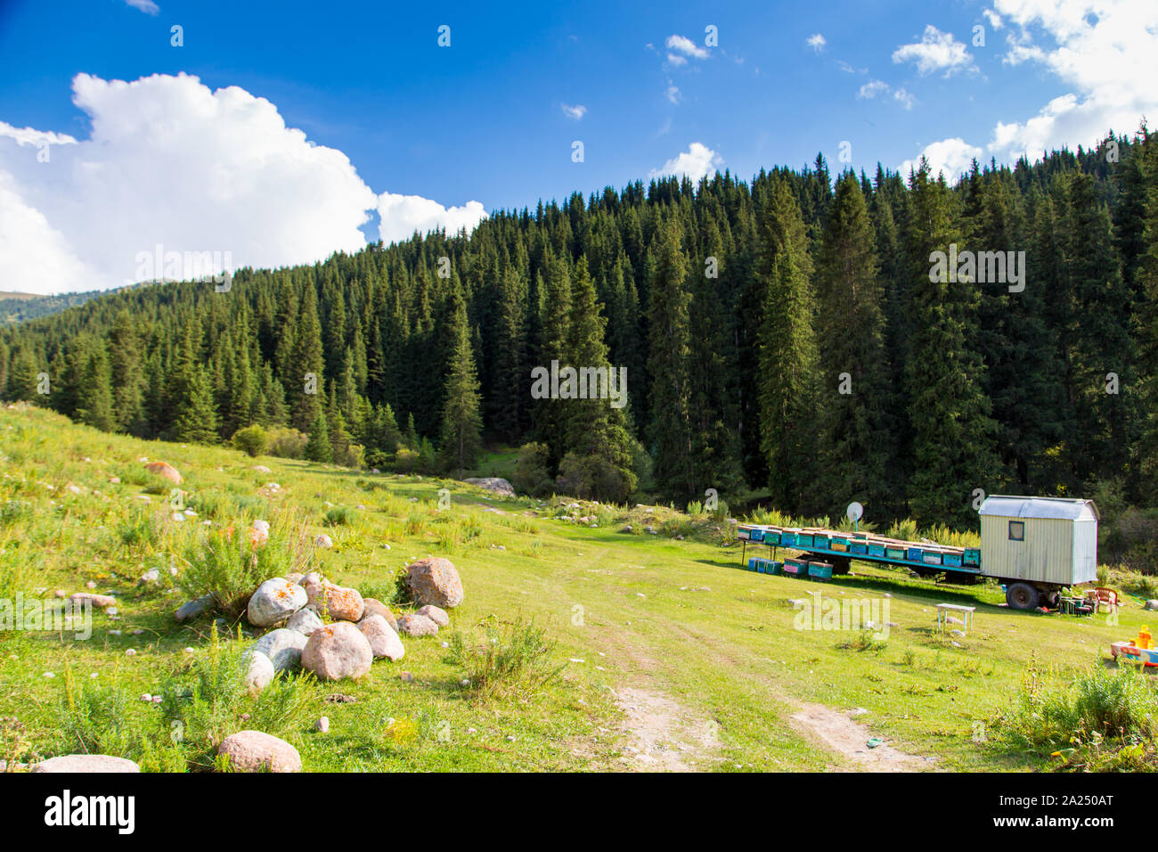Honey bee hives high in the mountains on nature. Pure mountain honey ...