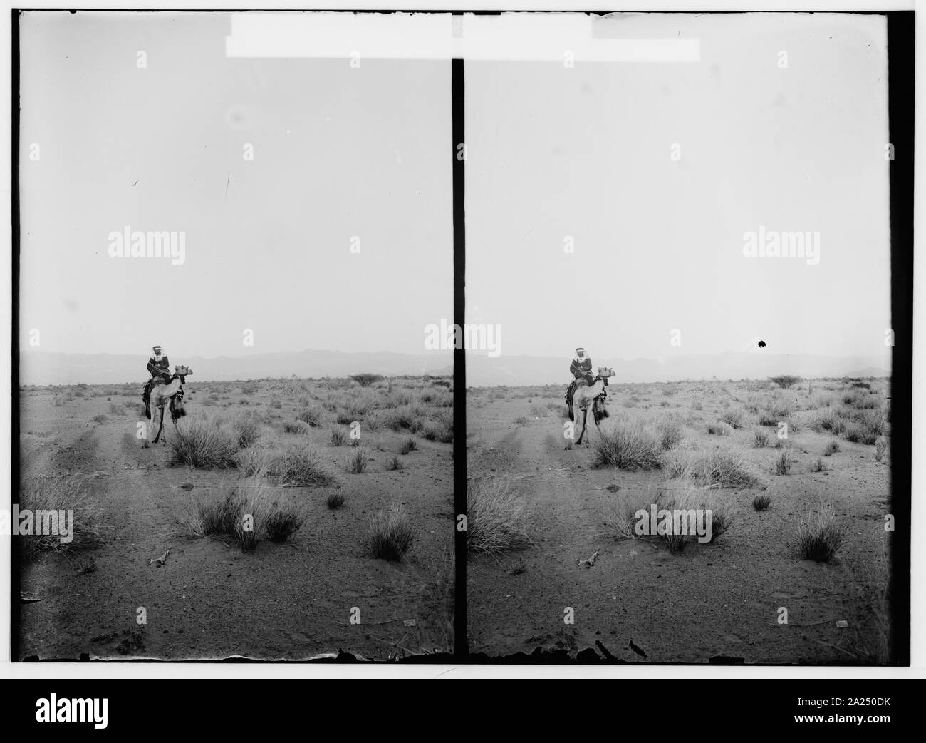 Arabah plain hi-res stock photography and images - Alamy