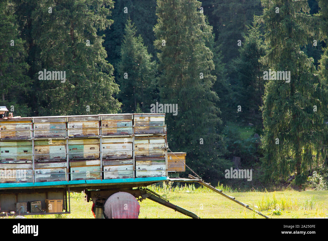 Honey bee hives high in the mountains on nature. Pure mountain honey ...