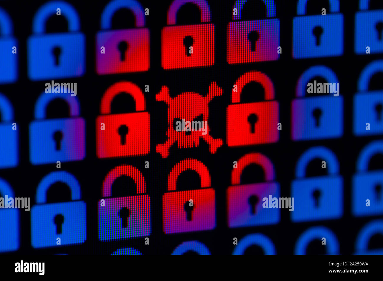 Skull and bone as a symbol of hacking programs or personal information ...