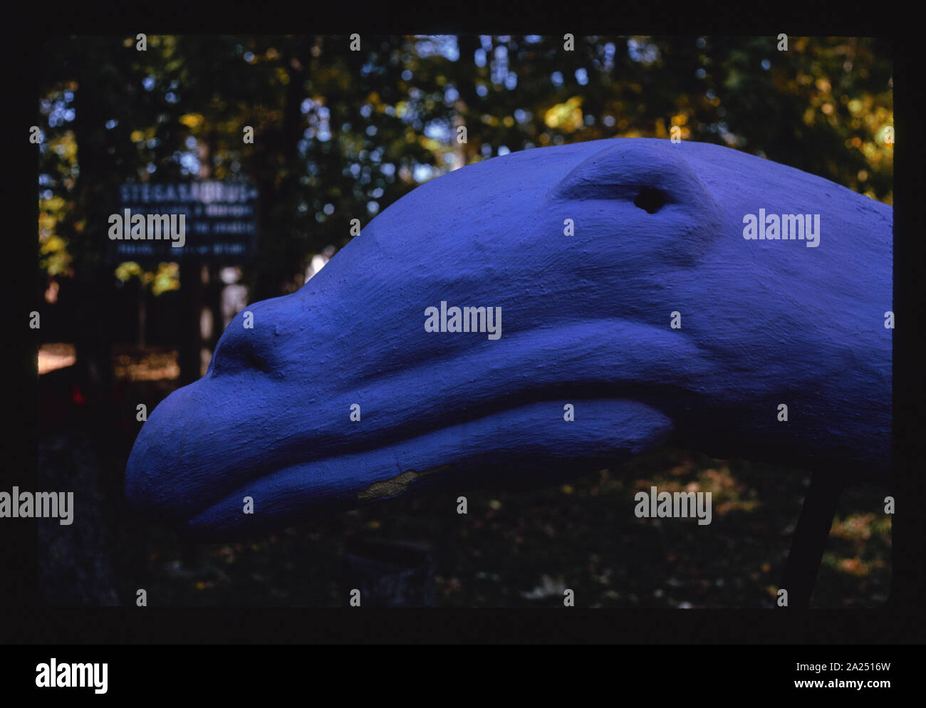 Petrified Creature Museum, Richfield Springs, New York Stock Photo - Alamy