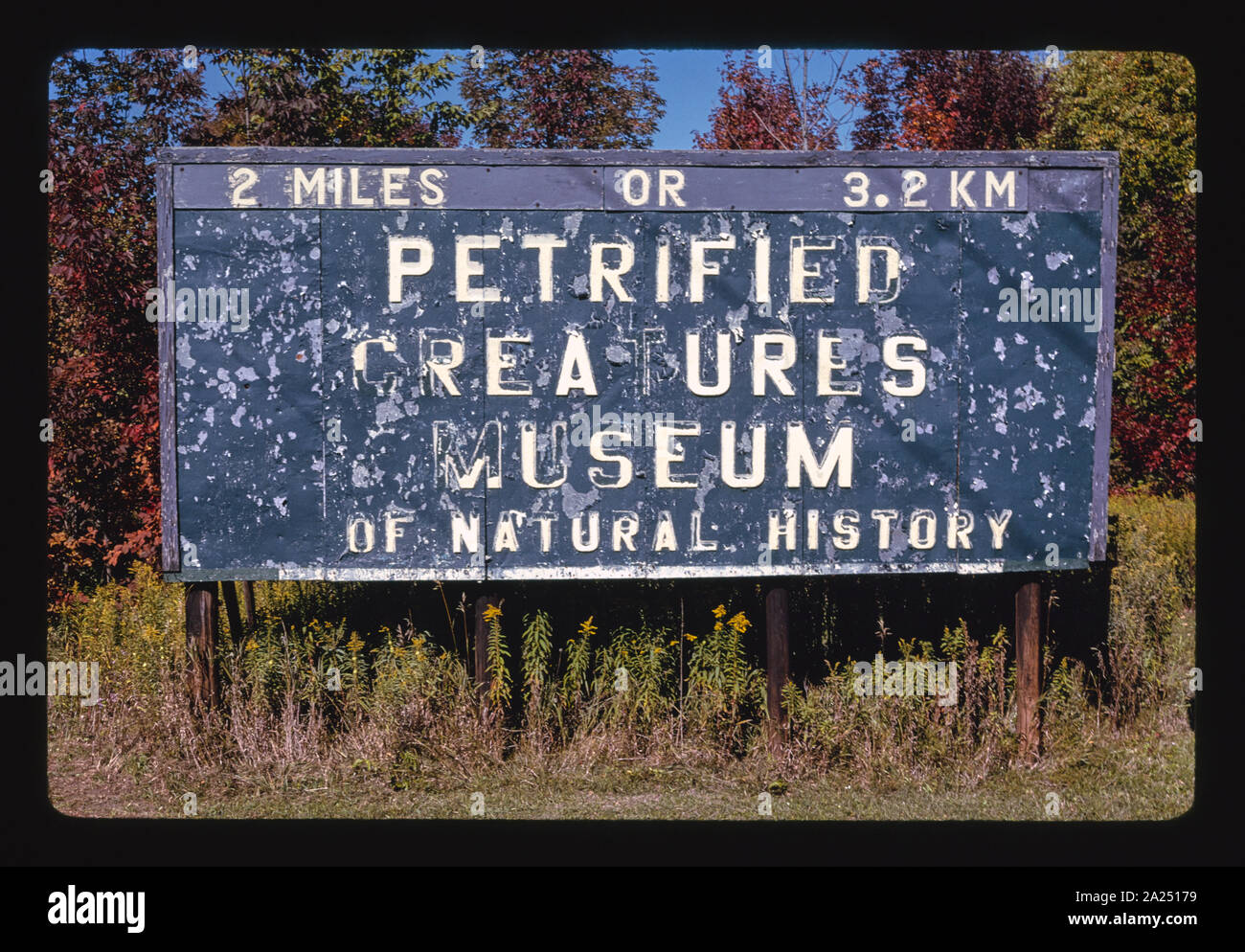 Petrified Creature Museum, Richfield Springs, New York Stock Photo - Alamy