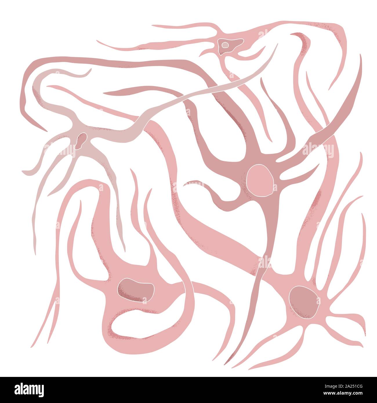 Neuron cells with long axons. Vector illustartion Stock Vector Image ...