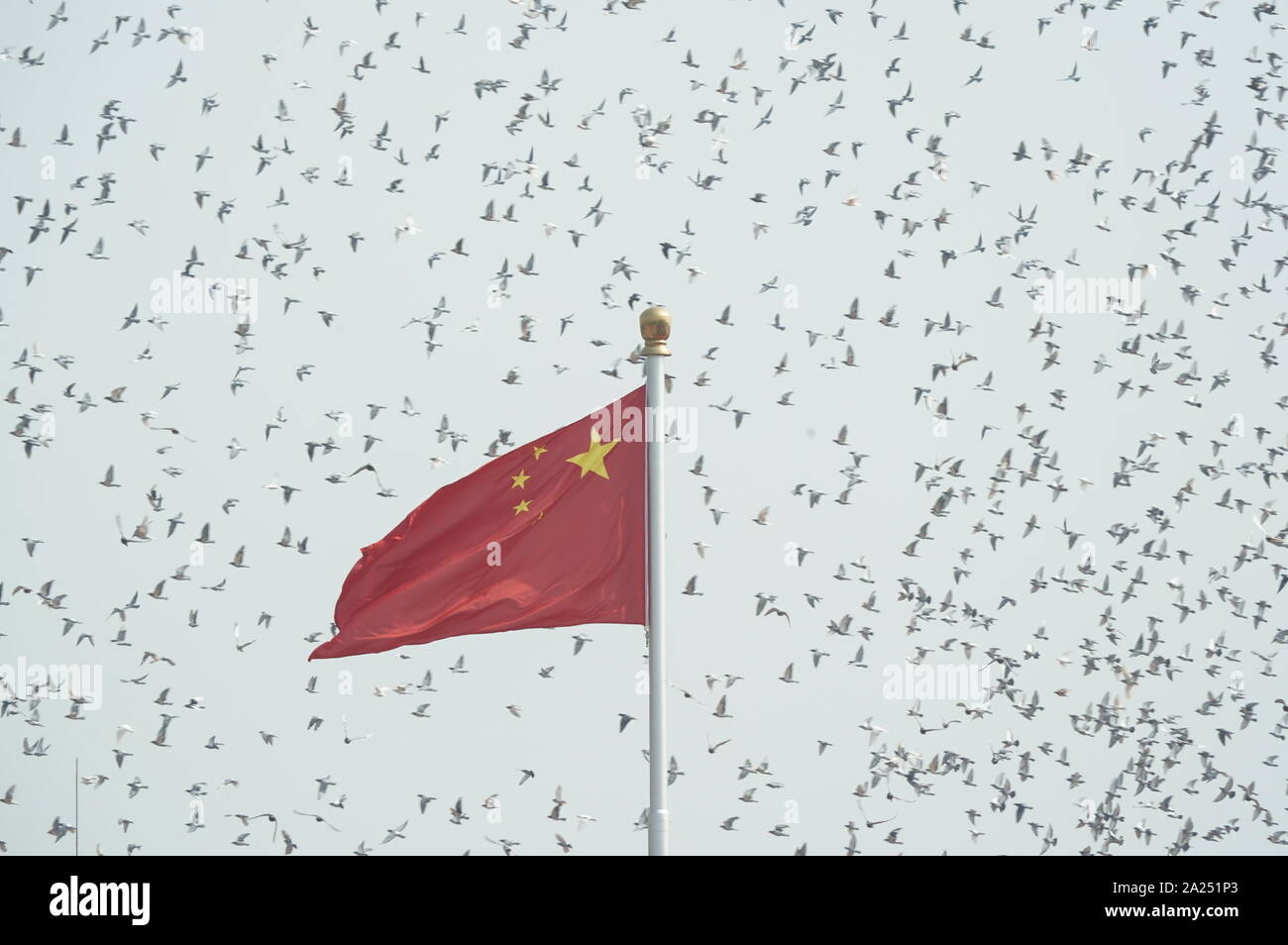 Beijing, China. 1st Oct, 2019. Doves are released during the ...