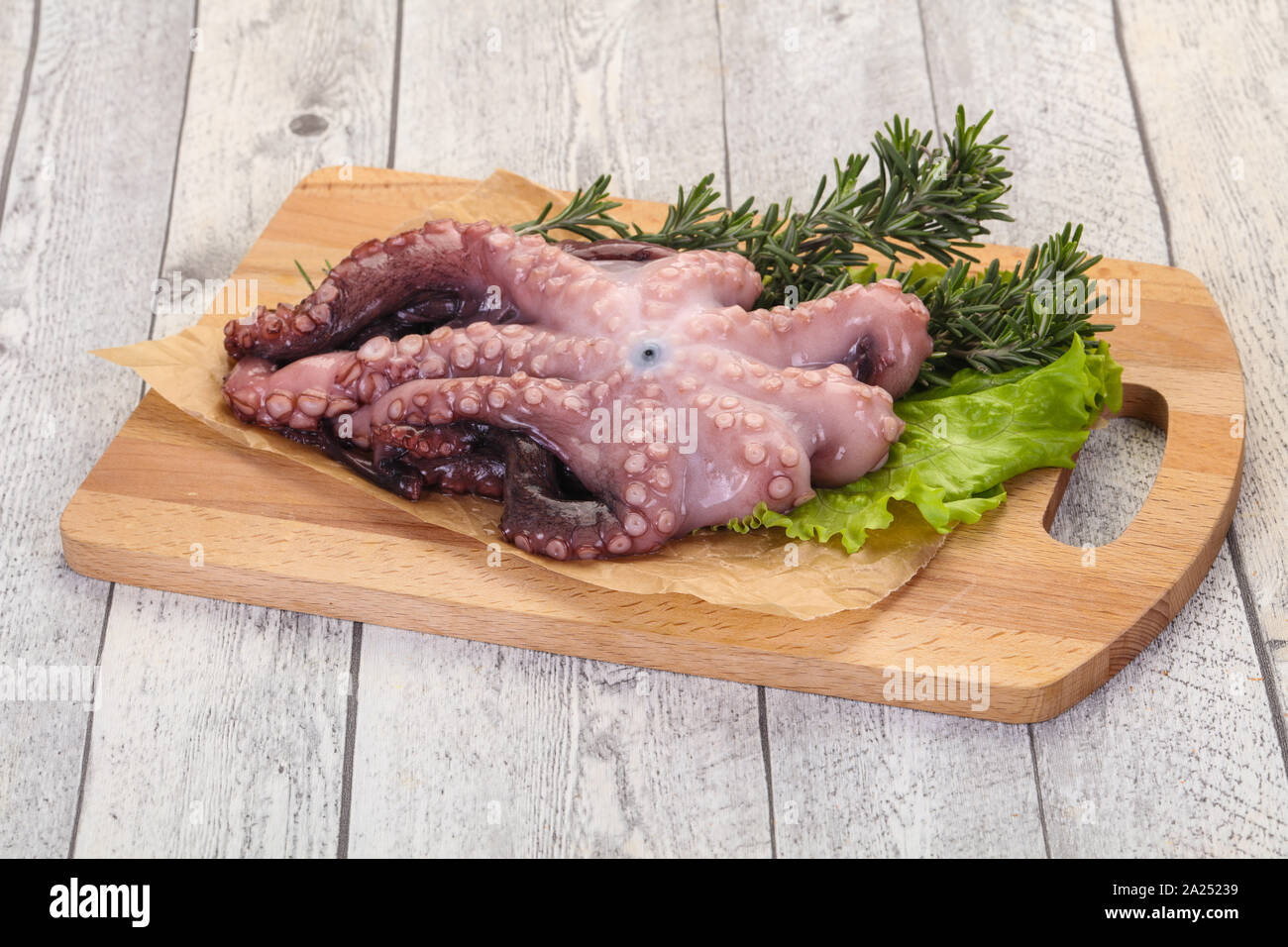 Raw octopus ready for cooking with rosemary Stock Photo - Alamy