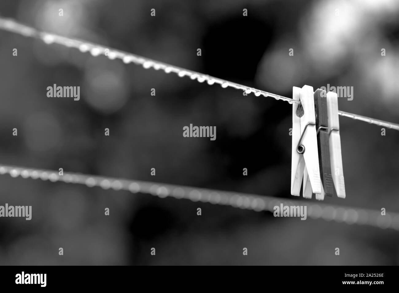 Clothes peg Black and White Stock Photos & Images - Alamy