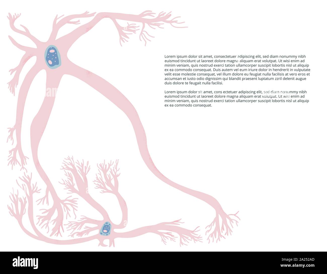 Neuron cells with long axons. Vector illustartion Stock Vector Image ...