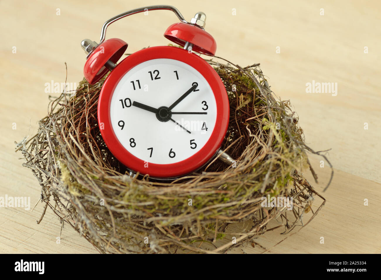 Red alarm clock in a bird nest -Importance of time concept Stock Photo ...