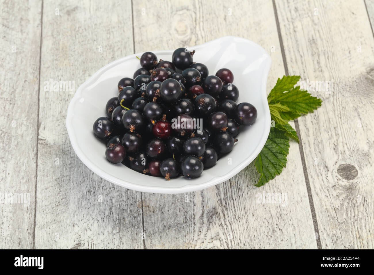 Fresh ripe sweet black currant berries Stock Photo - Alamy