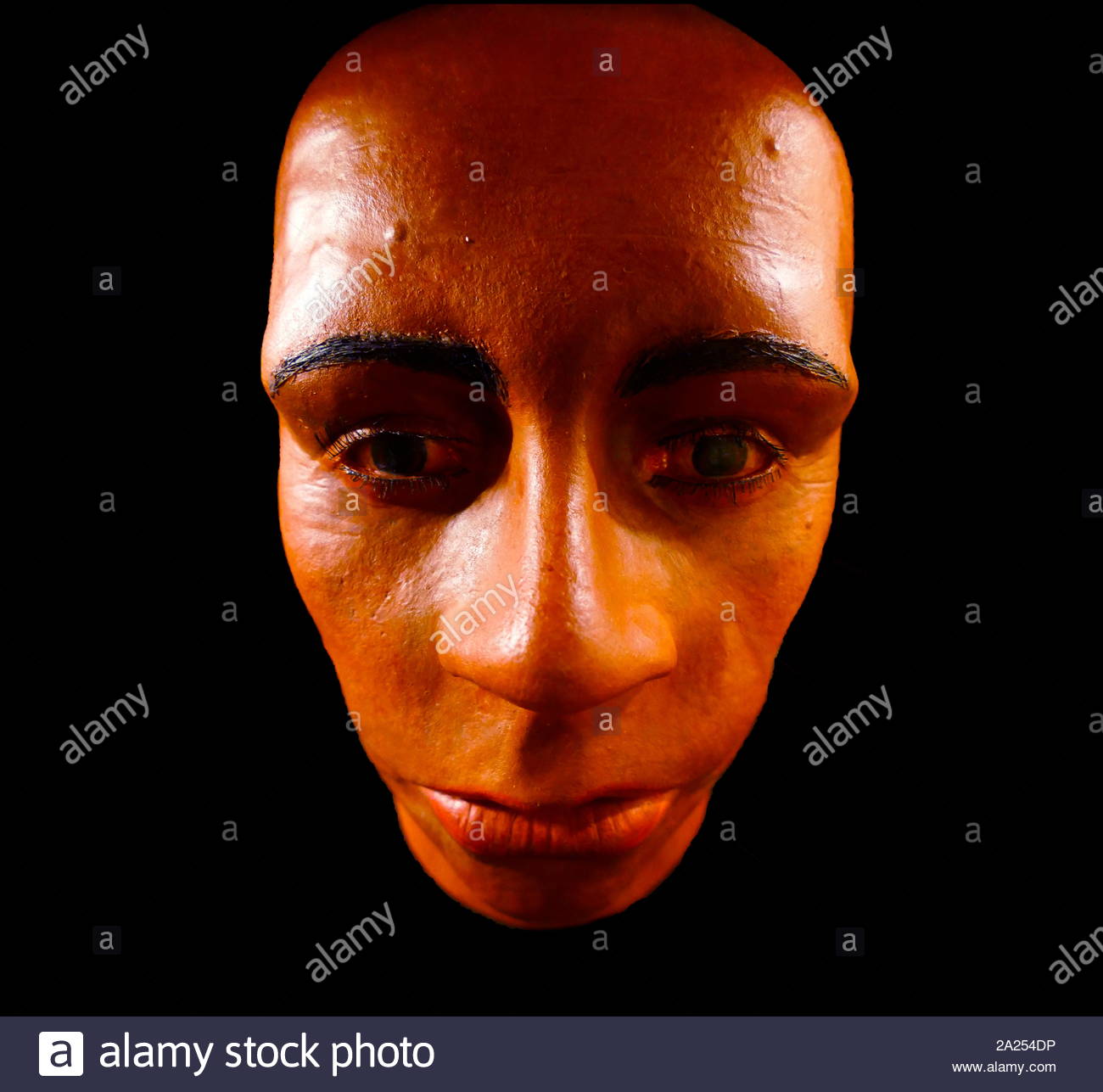 Forensic reconstruction of the 18th-dynasty Ancient Egyptian Pharaoh ...