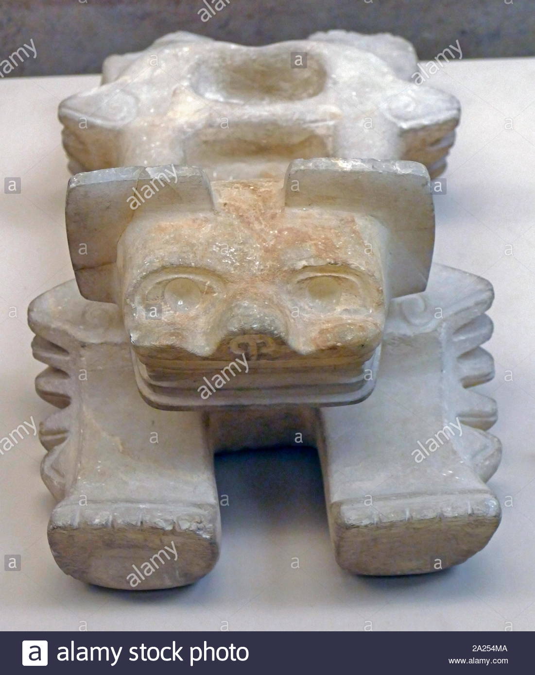 Ocelot mexico hi-res stock photography and images - Alamy