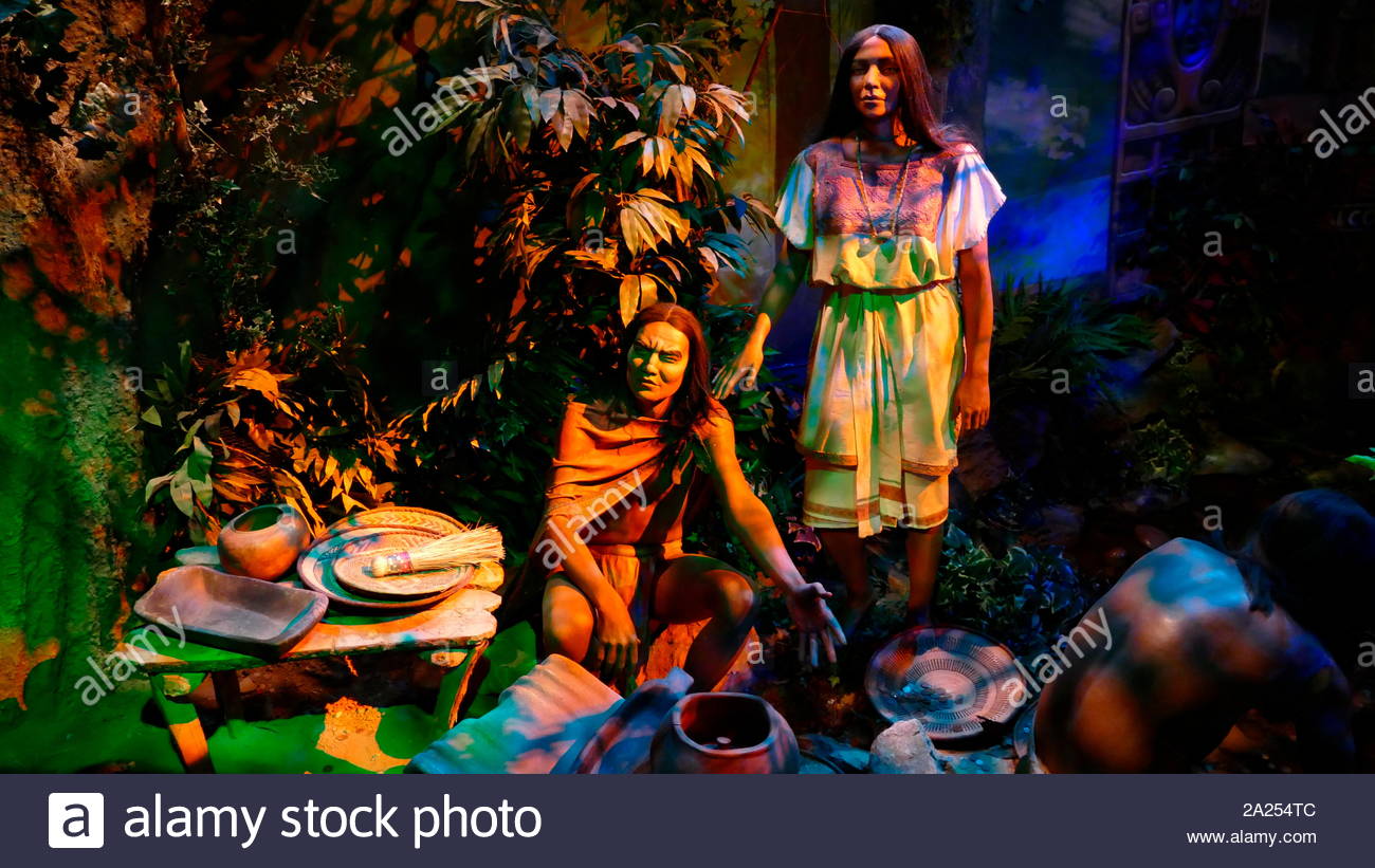 Recreation of a scene depicting Aztecs cultivating and collecting Cocoa ...