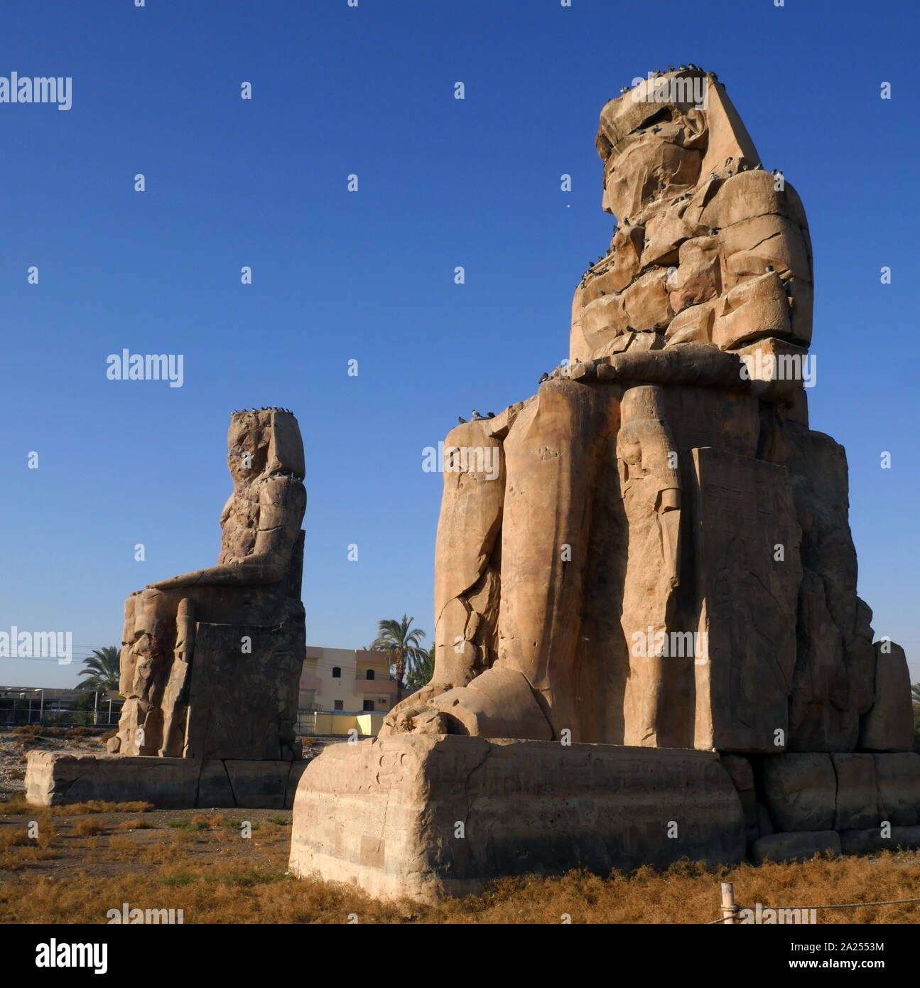 Statues of pharaoh amenhotep iii hi-res stock photography and images ...