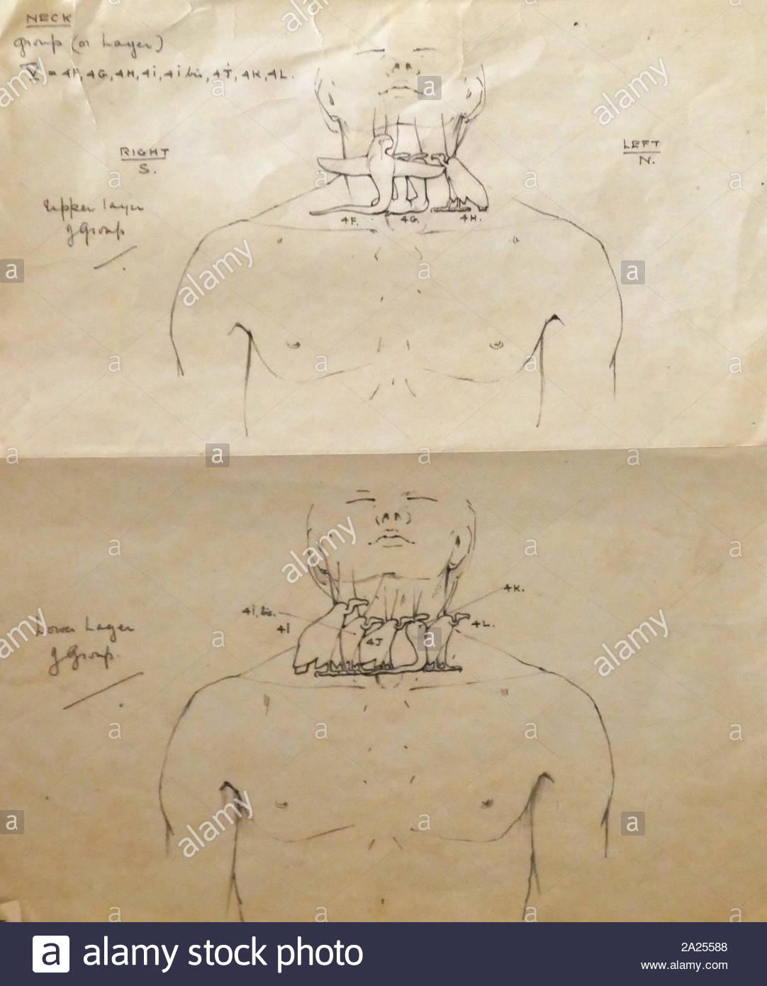 Handwritten notes drawings howard carter hi-res stock photography and ...