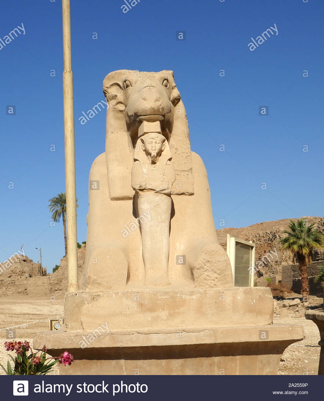 Ram headed statues at the Karnak Temple Complex, in Luxor, Egypt ...