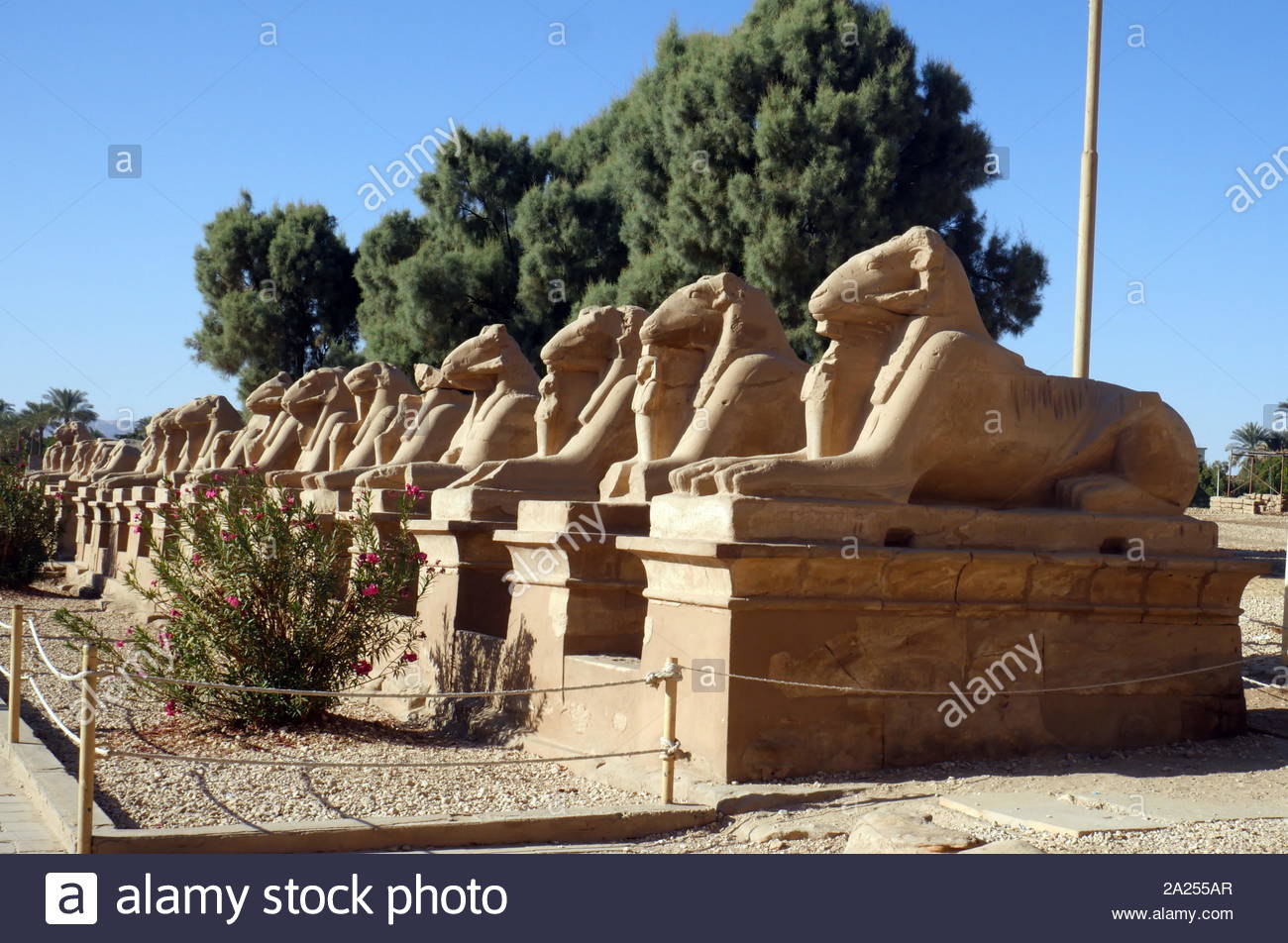 Ram headed statues at the Karnak Temple Complex, in Luxor, Egypt ...