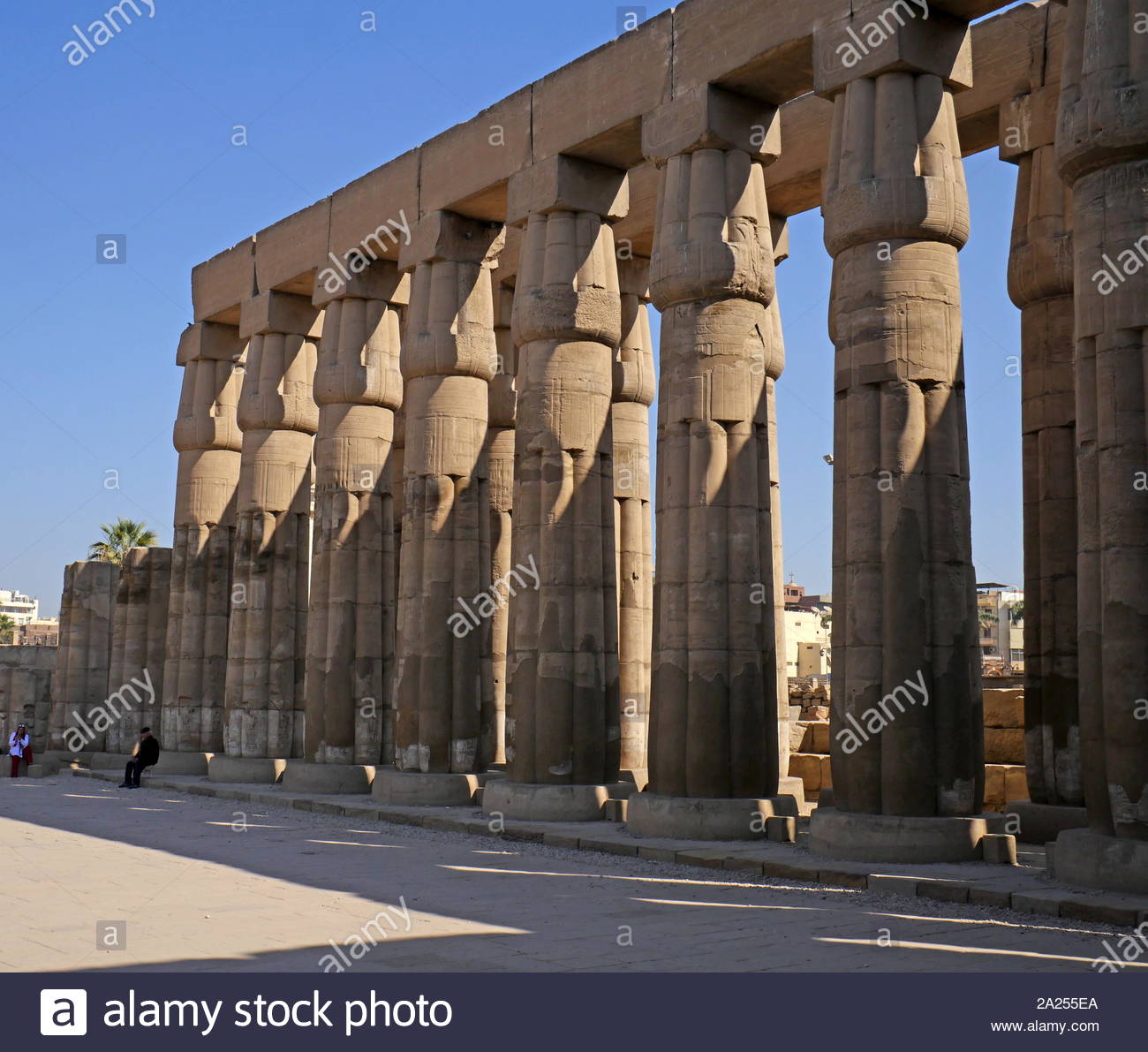 Columns inside the ancient Egyptian Luxor Temple complex in Luxor ...