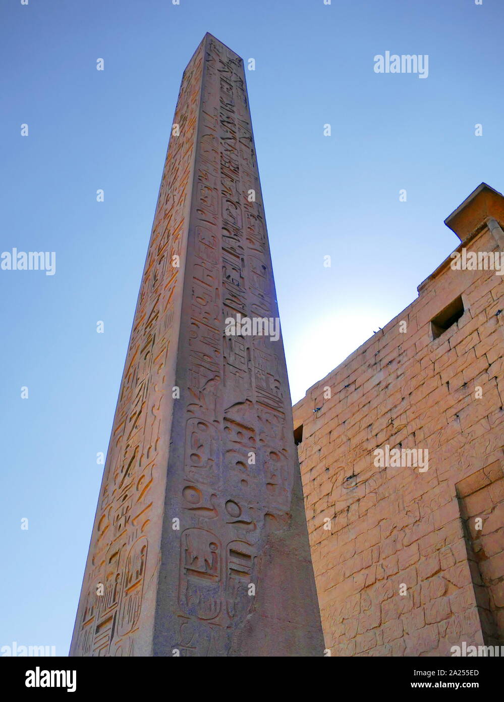 Obelisk, within the ancient Egyptian Luxor Temple complex in Luxor ...