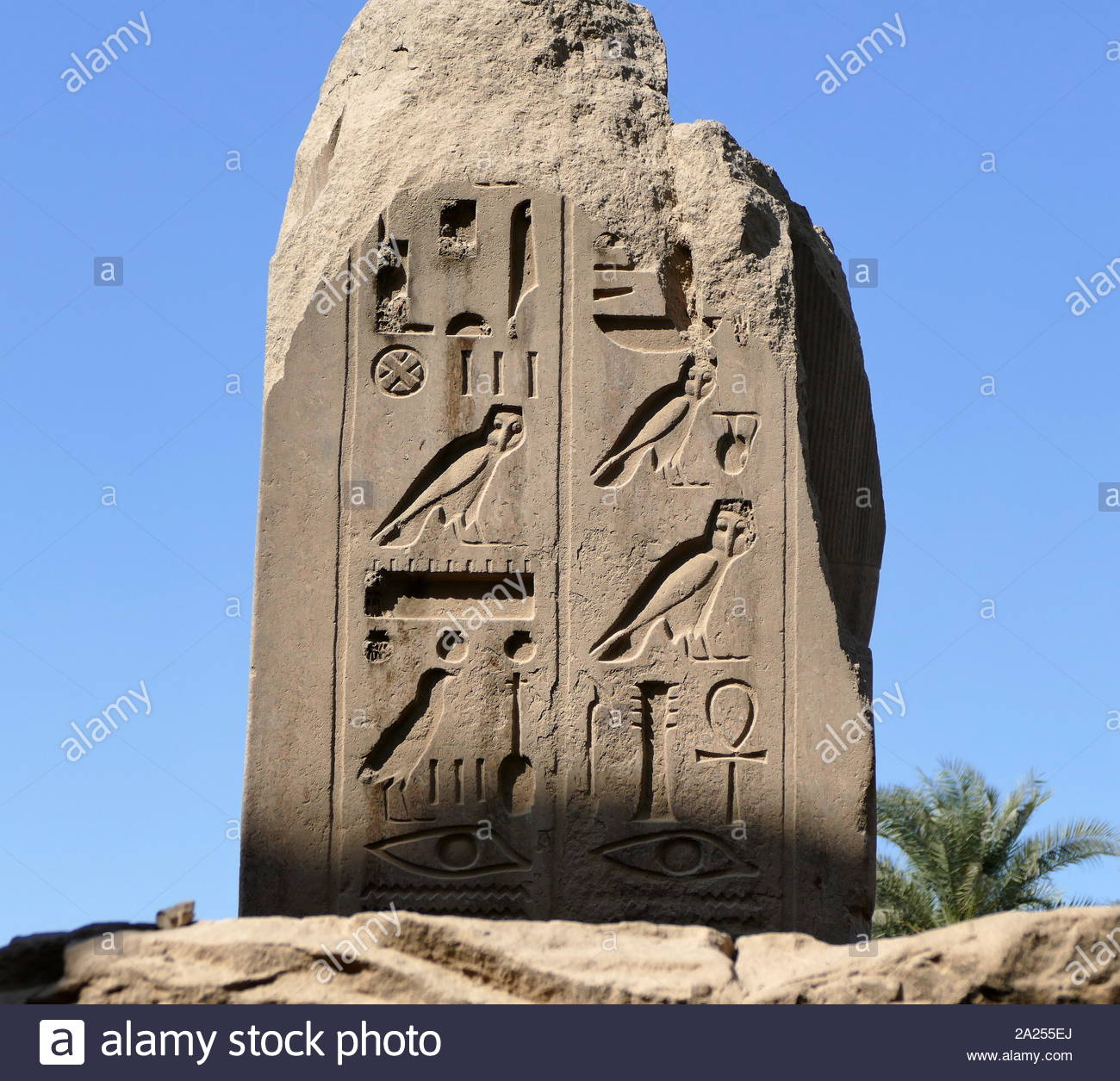 Obelisk, within the ancient Egyptian Luxor Temple complex in Luxor ...
