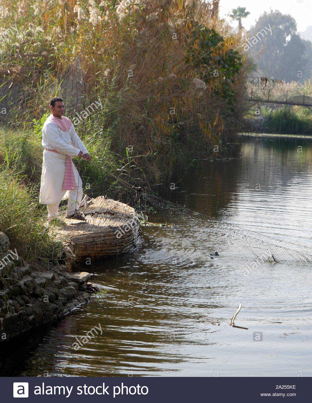 Reeds along the nile river hi-res stock photography and images - Alamy