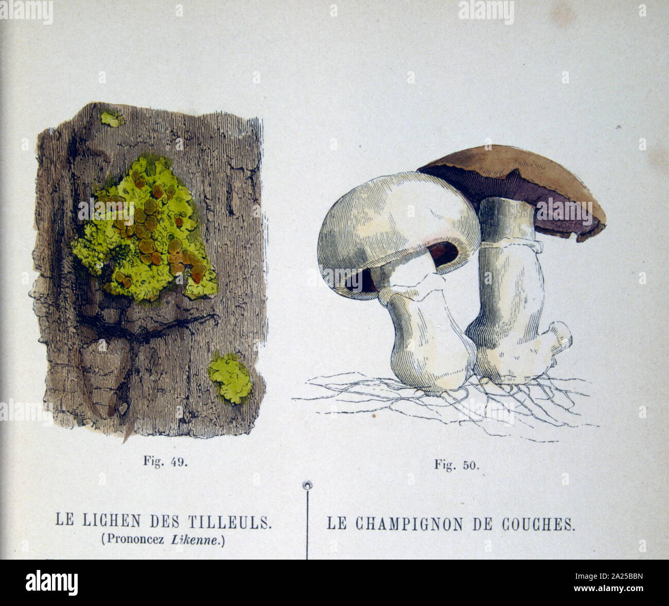 Emmanuel le maout hi-res stock photography and images - Alamy