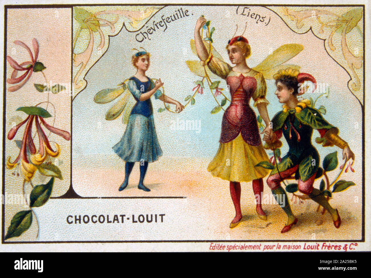 French illustration showing two fairies in a garden 1906 Stock Photo ...