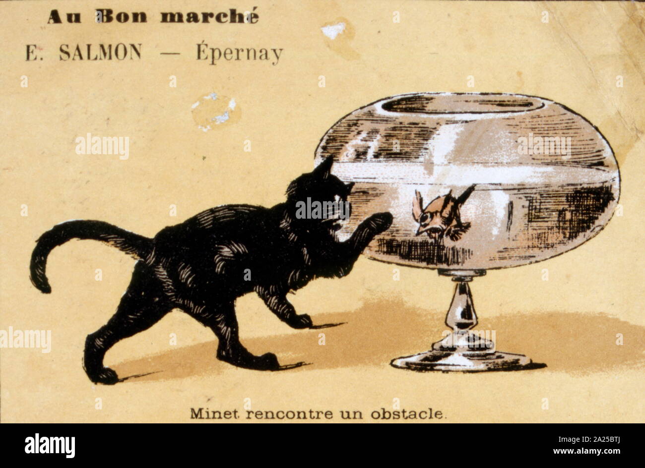 French illustration of a cat taunting a fish inside a fish bowl, 19th ...