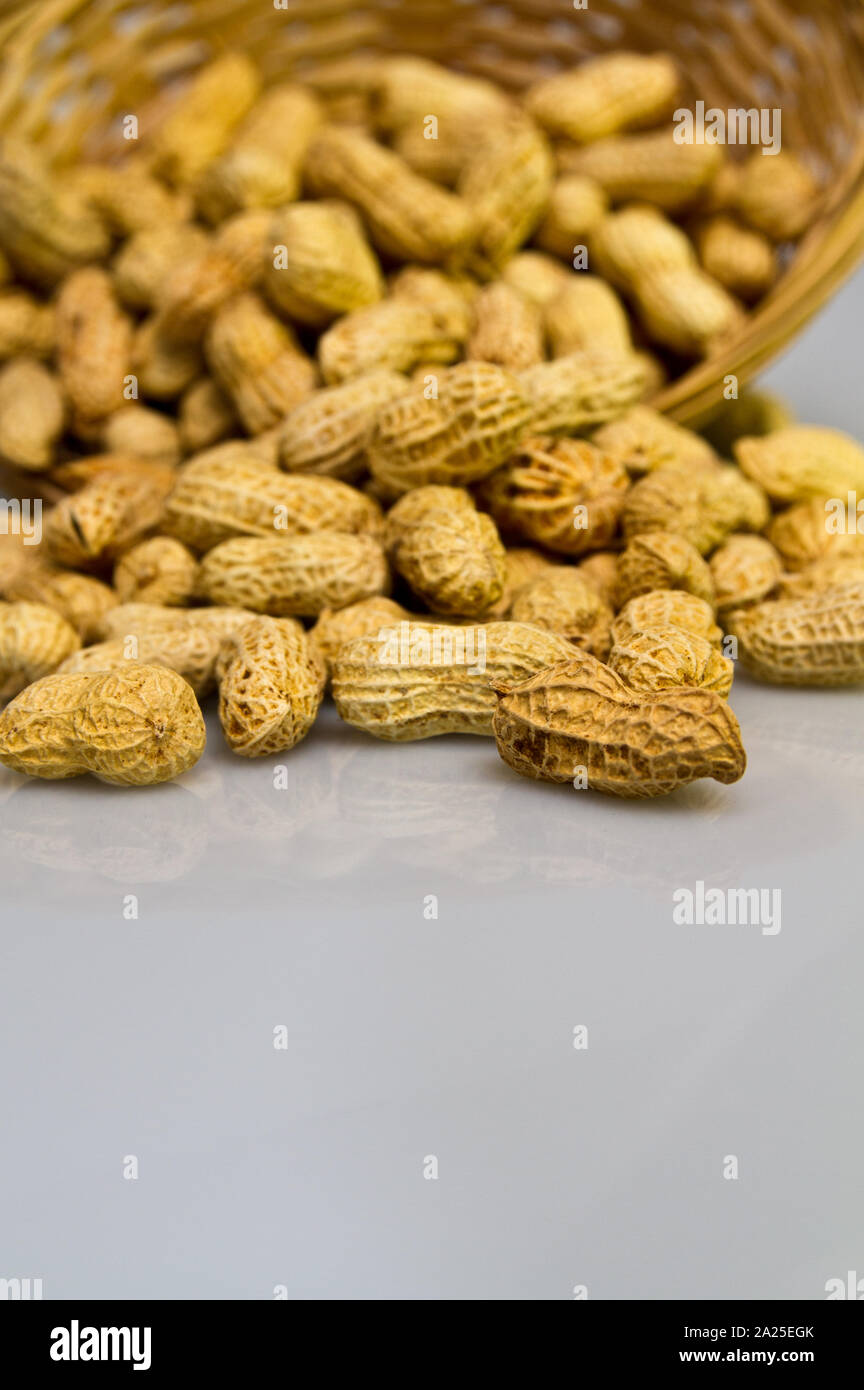 roasted ground-nut close up Stock Photo - Alamy